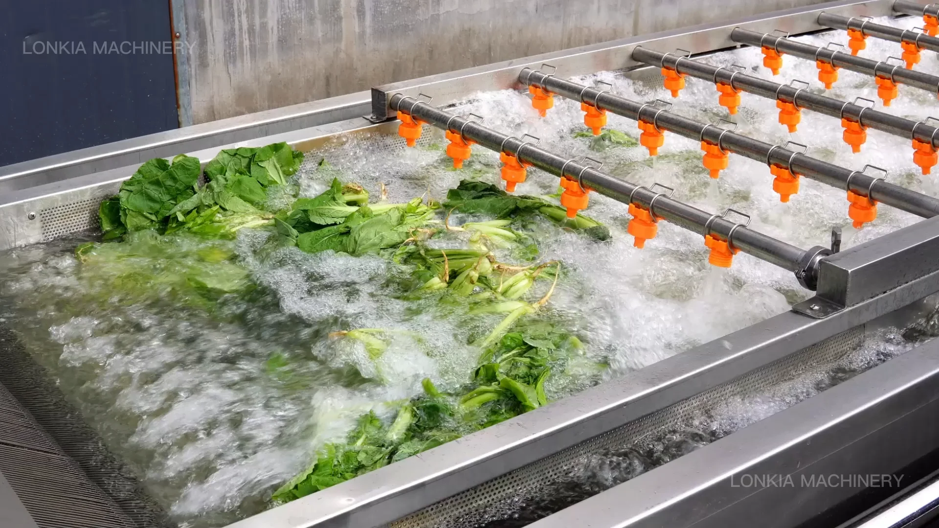 Horseradish Olive Kiwi Fruit Vegetable Air Bubble Washer Spinach Peanut ...