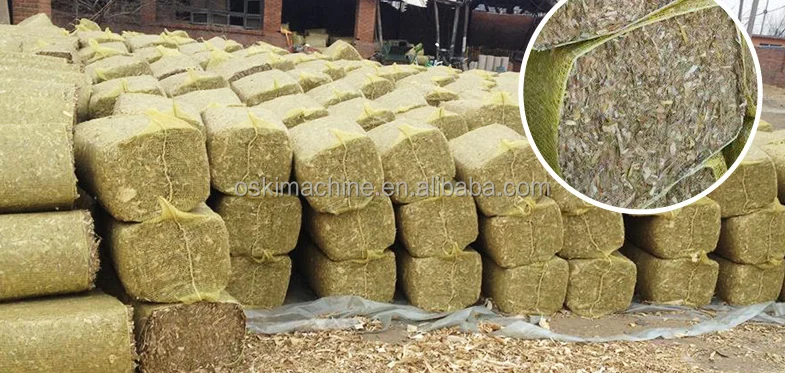 Silage Packing Machine - Efficient Square Baler for 50kg Bags