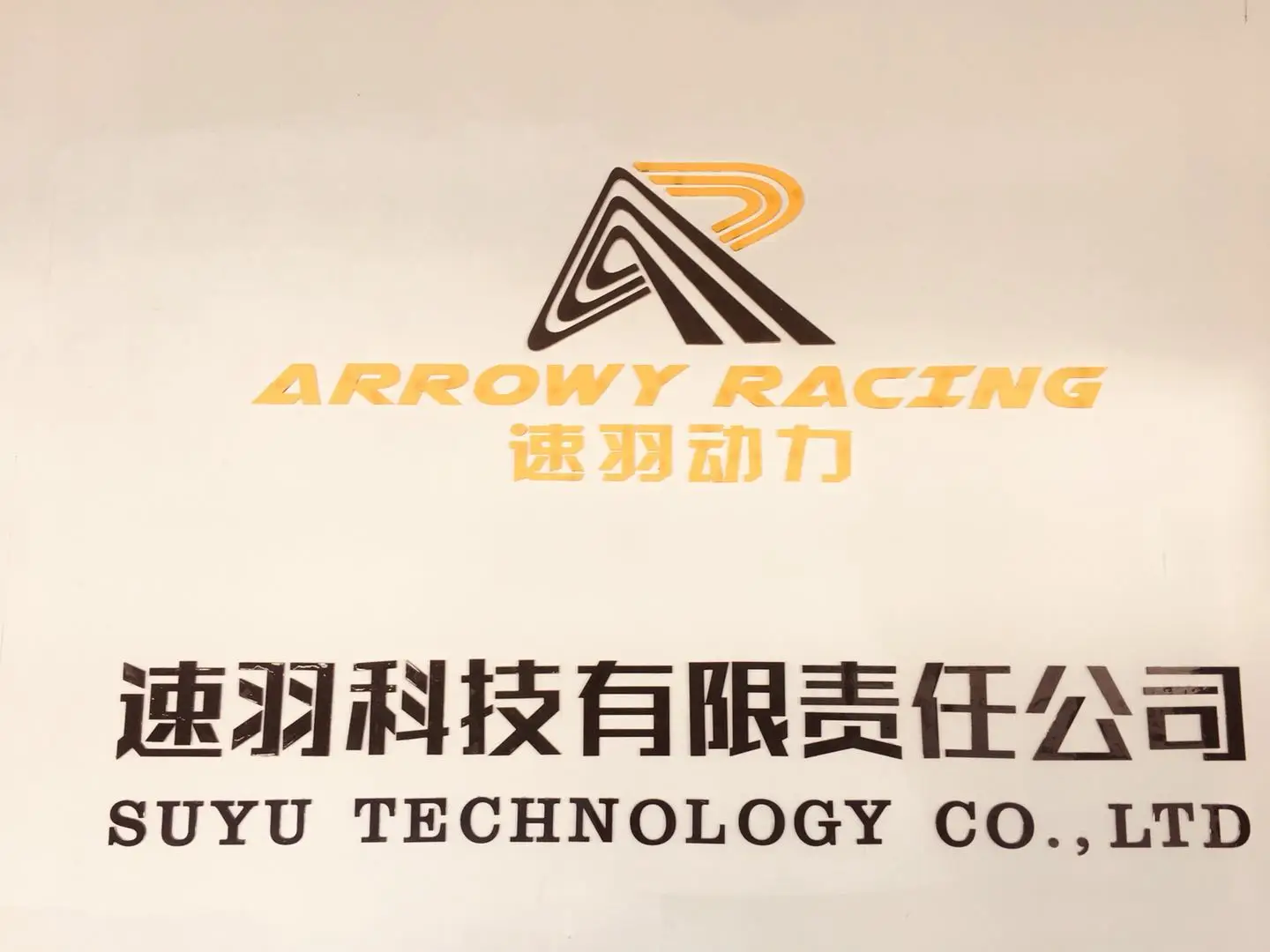 Company Overview - Jiaxing Arrowy Racing Technology Co., Ltd