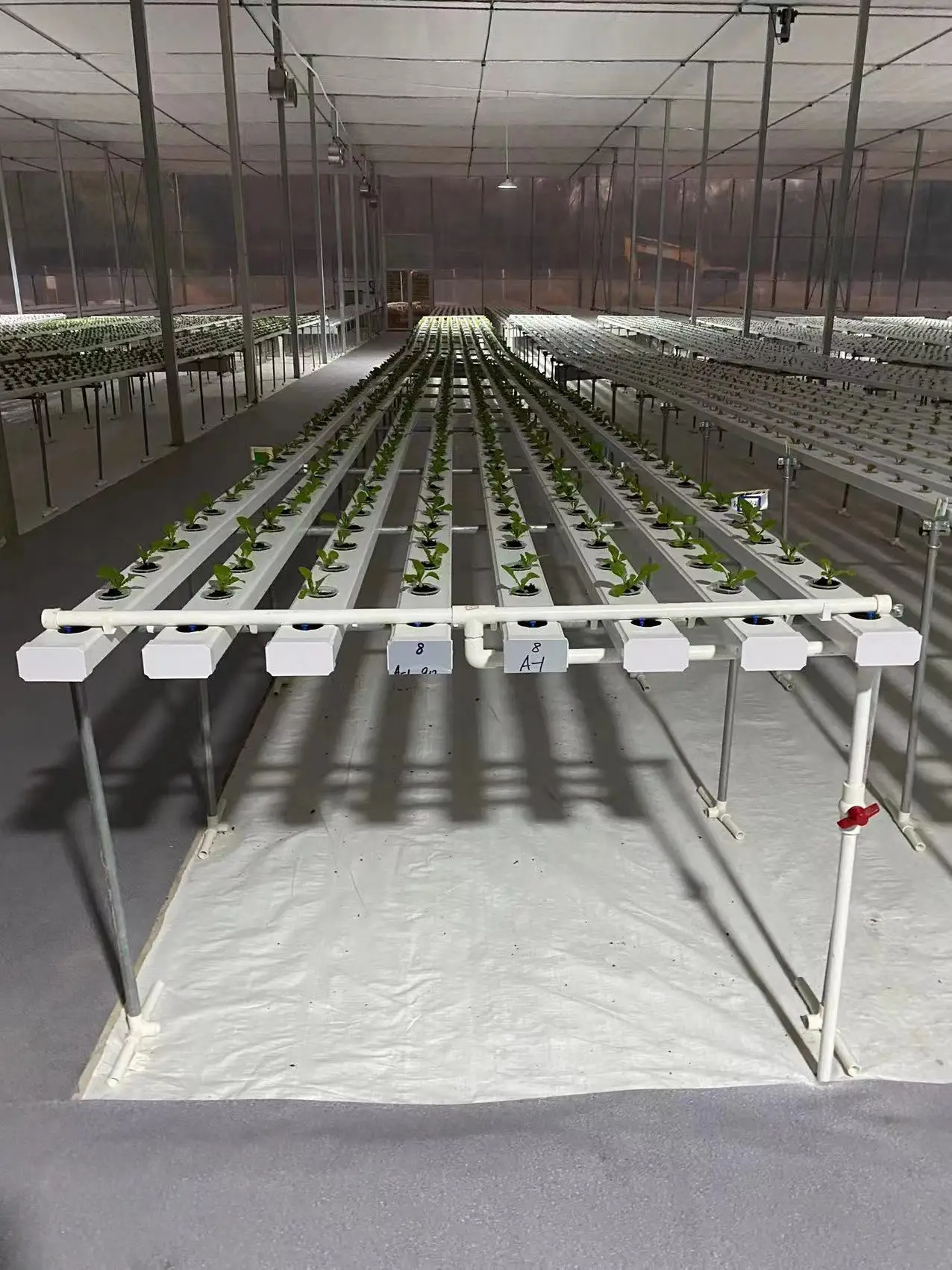 Hydroponic Vertical MINI NFT Channel - Efficient Growing