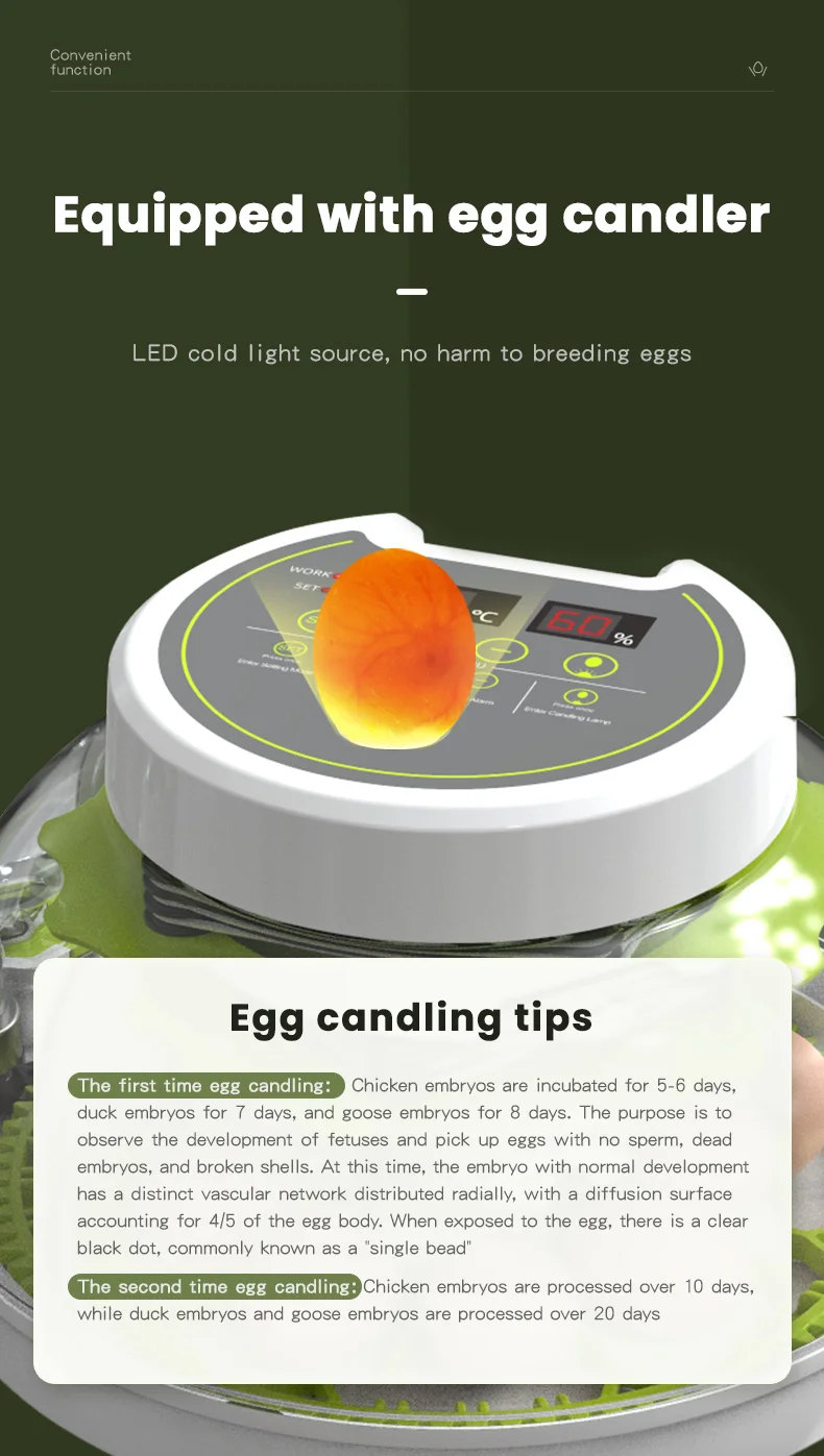 Small Size Egg Hatcher Incubator - High Productivity