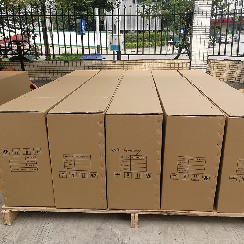 Safeagle 33 Individual Detection Zone 760mm Wide Walk-through Metal ...