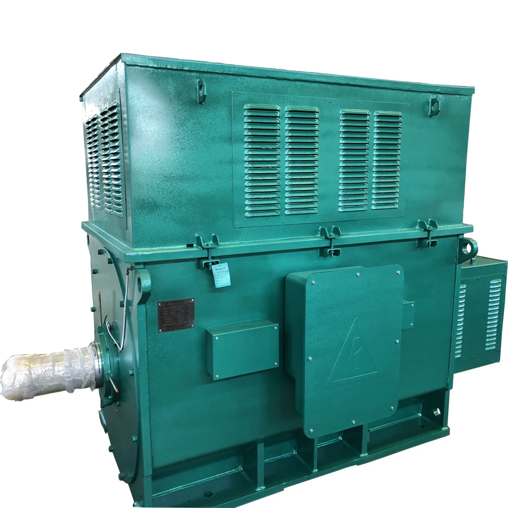 6kv 315kw Electric Motor - High Efficiency & Reliable Power