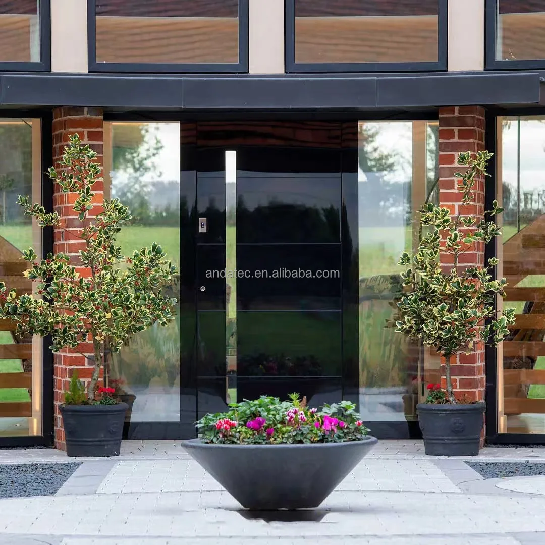 2024 Luxurious External Pivot Door - Modern Black Front Door
