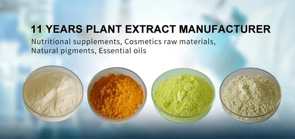 Food Grade Yellow Pigment Safflower Extract Safflower Yellow Powder ...