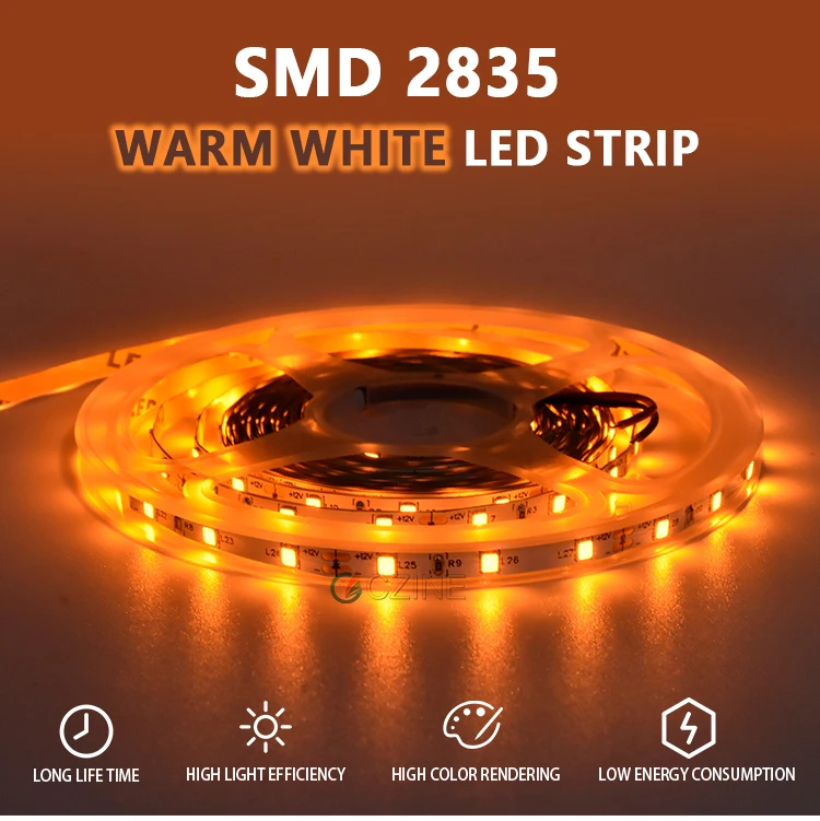 5MM Factory SMD 2835 DC 12V 24V 8MM 120LEDs White Red Green Blue IP20 ...