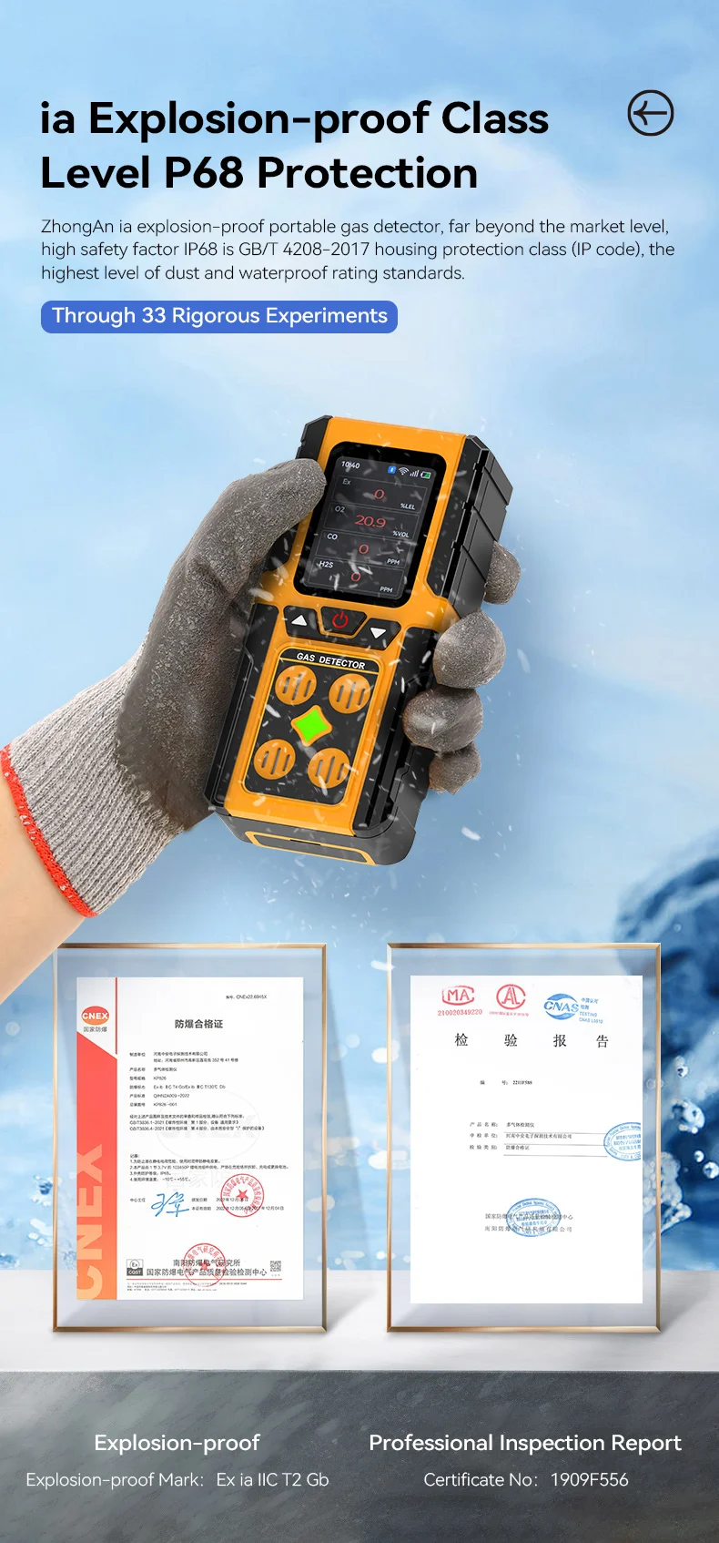 BW MicroClip 4 Gas Detector - IP68 Multi Gas Monitor & ODM | Wholesale