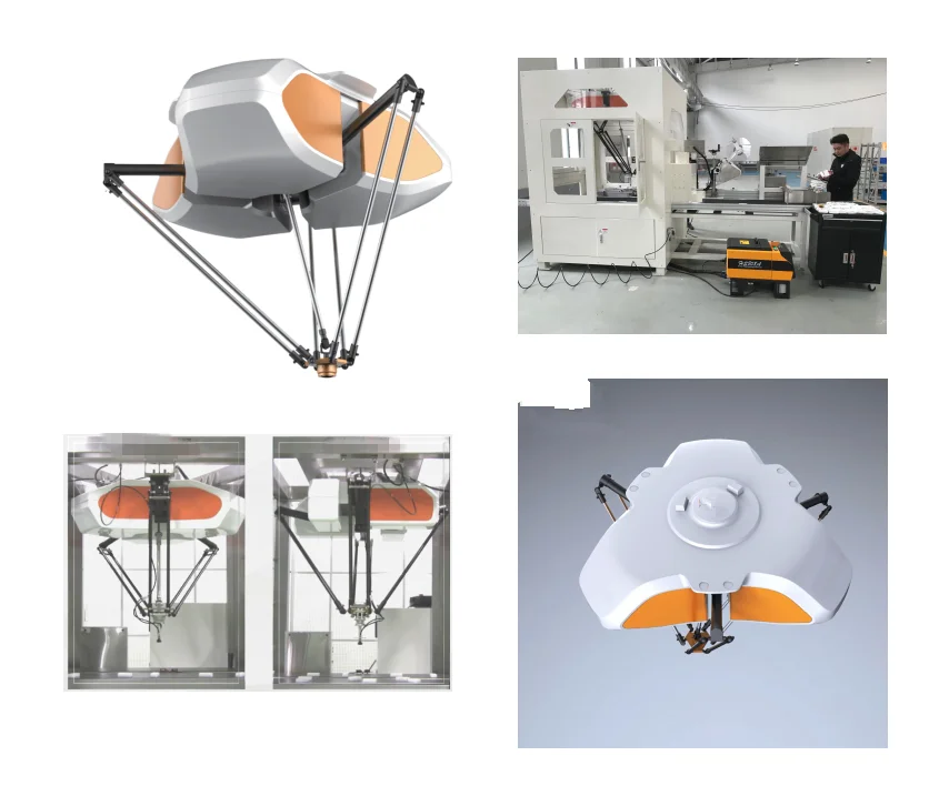 Pick up Place Bags Sachet Into Carton Packer,robotic Bag Machine ...