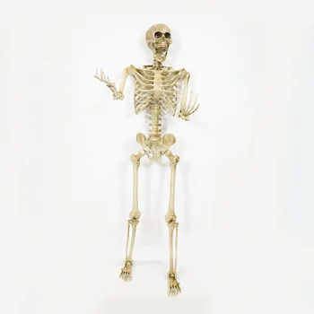 Hot Sale Life Size Oversize Wholesale Giant 5.4 Foot Halloween ...