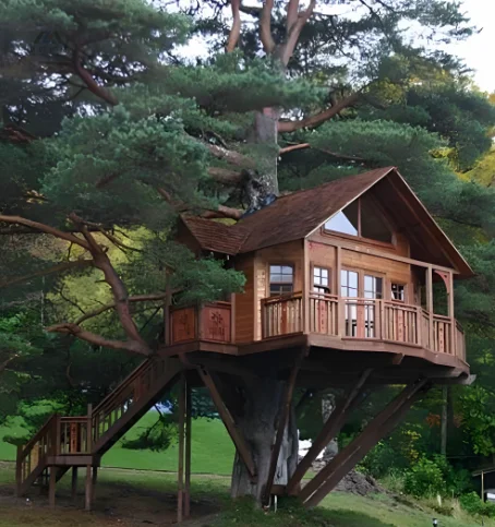2025 Luxury Prefab Wooden Houses - Birdcage-Shape Tree House for Hotels