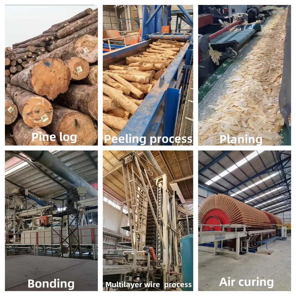 Waterproof Osb Wood Panels - Durable and Versatile Solutions