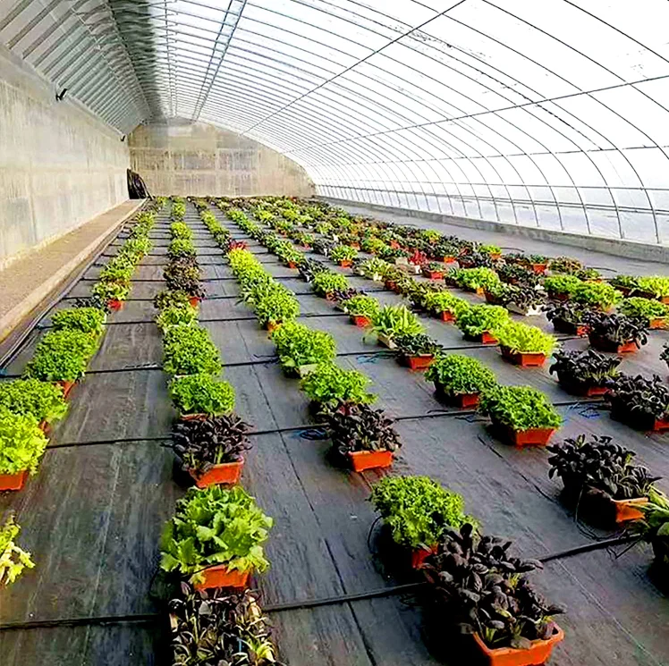 Black Ground Cover Garden Weed Barrier Landscape Fabric White Ground ...