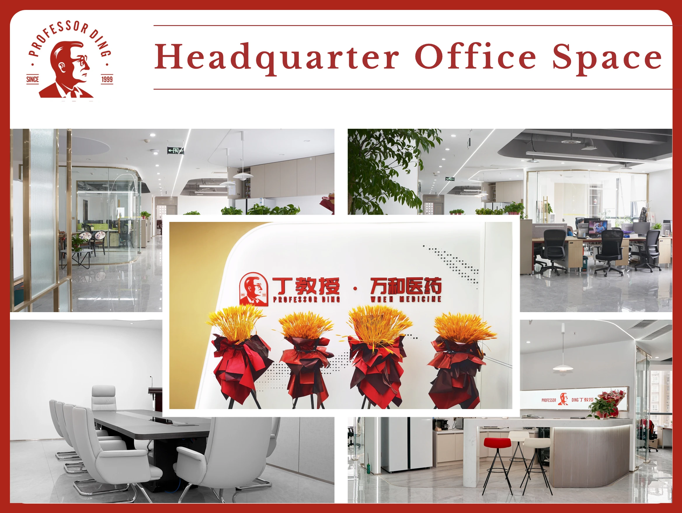 Prof. Ding Oem Vaginal Cleaning Point Yoni Detox Pearls Yoni Pearls ...