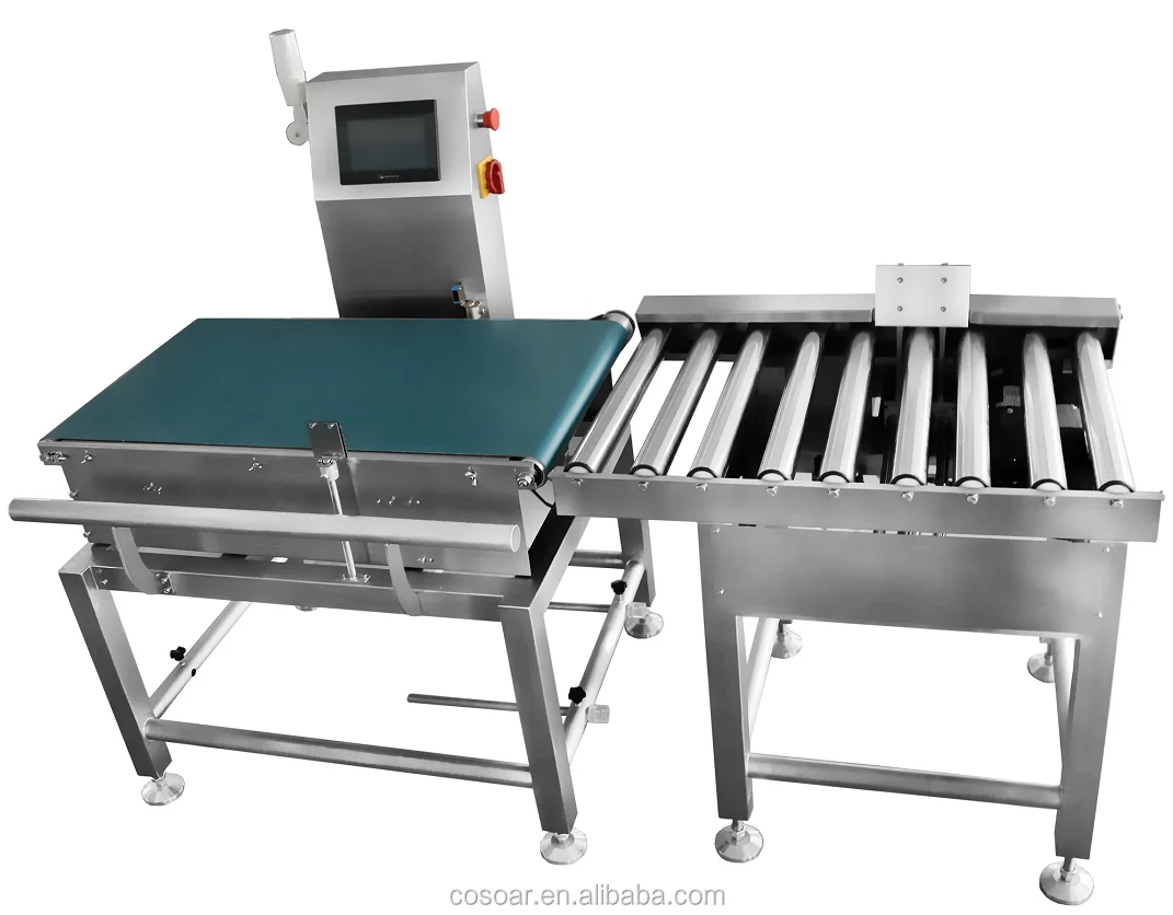 Automatic Conveyor Check Weigher Scale for 20-40kg Cartons & OEM