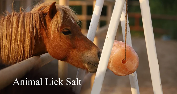 The Original Salt Company All Natural Himalayan Salt Rock Horse Cattle ...