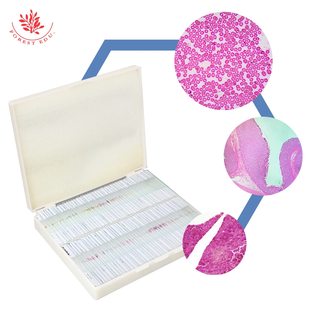 Biology School Supplies - 100 Items for Microscope Slides