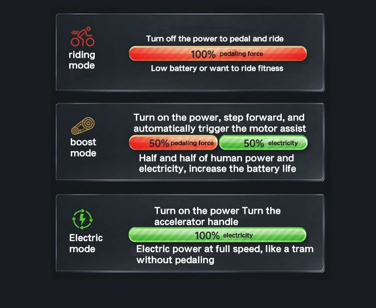 FRIKE Electric Bike - 1000w Power, 26inch Frame, 21 Speed