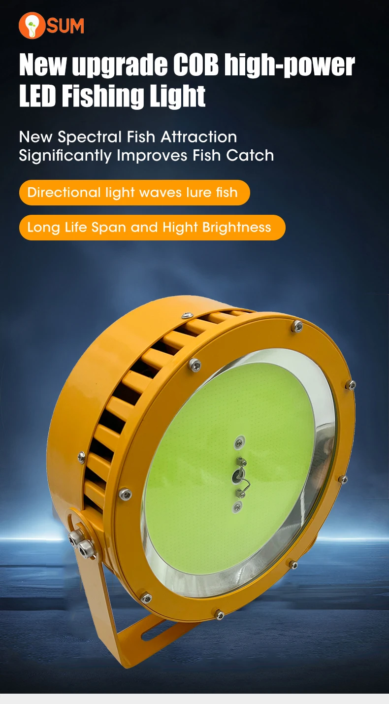 2000 Lumens Fishing Lights - Efficient Marine Illumination