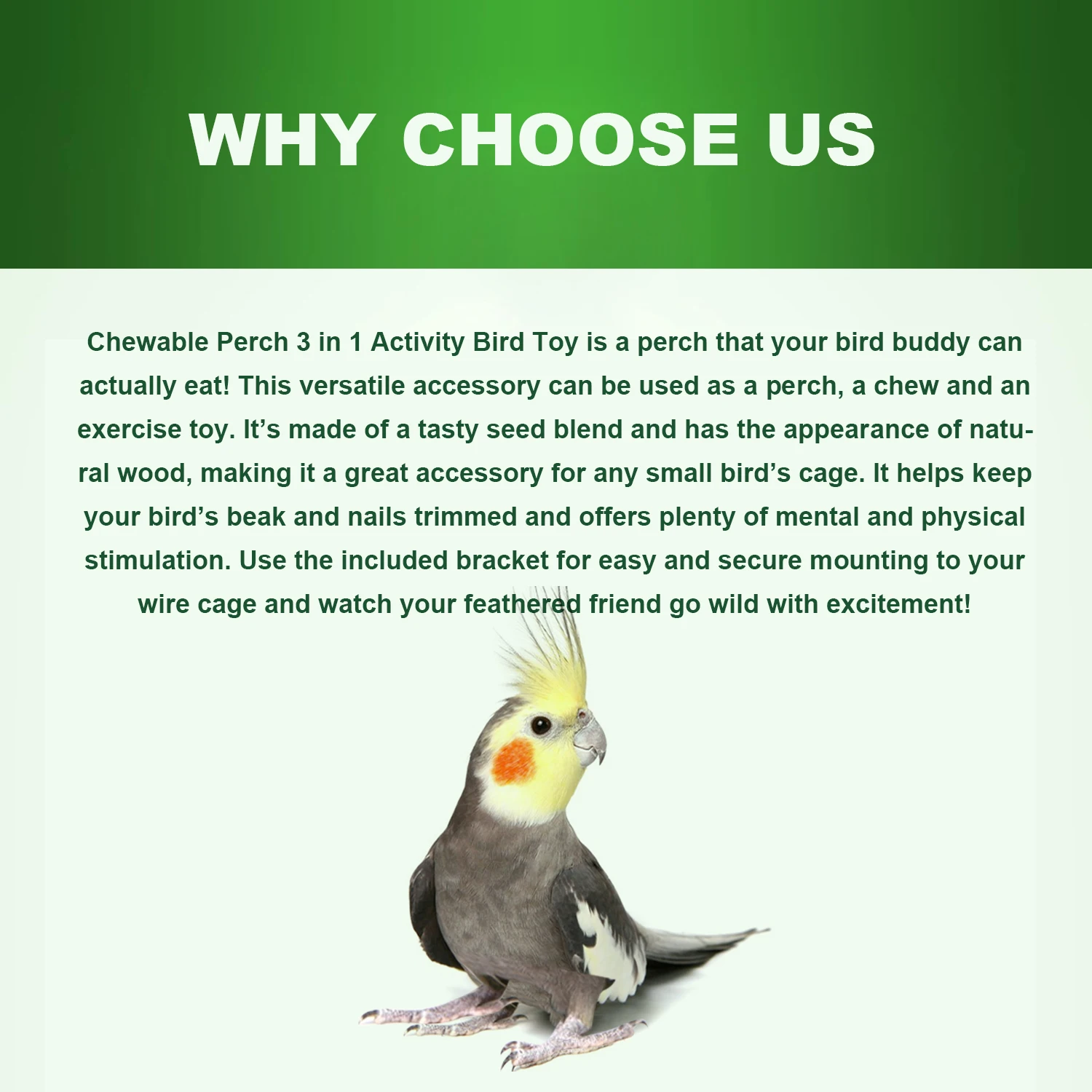 Custom Parrot Bird Stand & Play Toy Edible Chewable Metal Durable ...