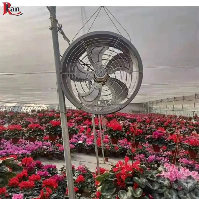 Agriculture Ceiling Ventilation Fan Air Circulation Fan For Greenhouse ...