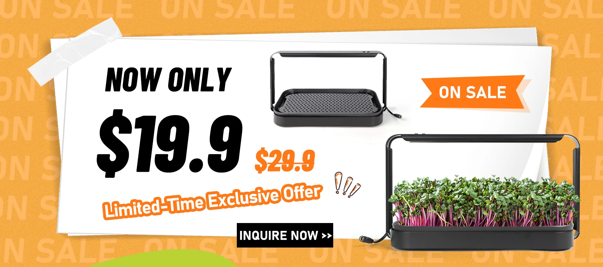 Planters Sprouts And Microgreens Herbs Grow Germination Kits Smart ...