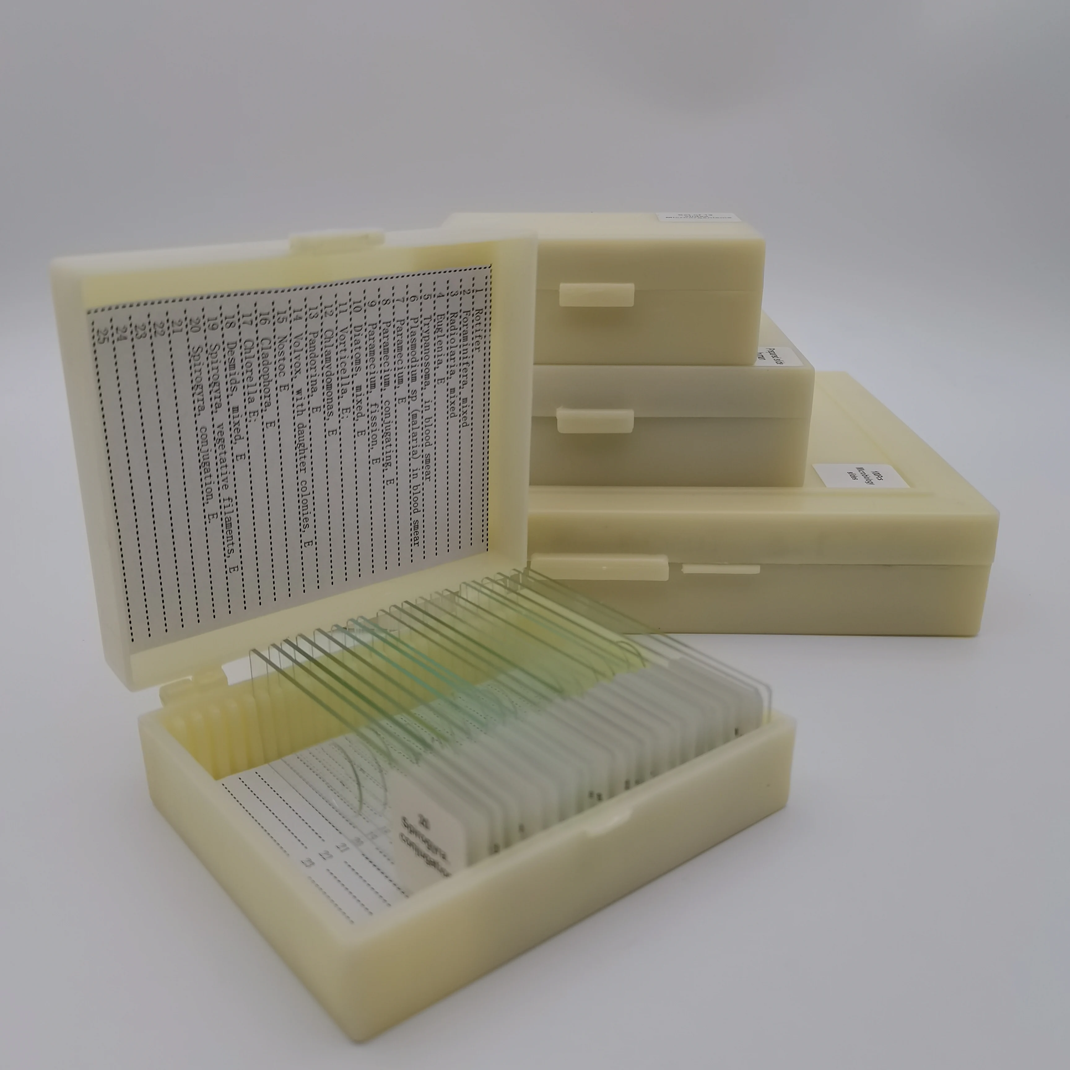 High Quality Protozoa and Algae Set 20PCS Microscope Prepared Protozoa ...