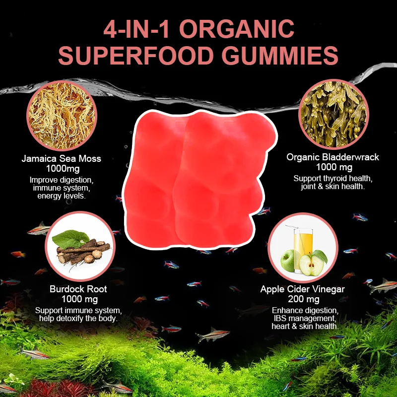 Natural Irish Seamoss Gummies 3000mg Seaweed Strawberry Flavor Sea Moss ...
