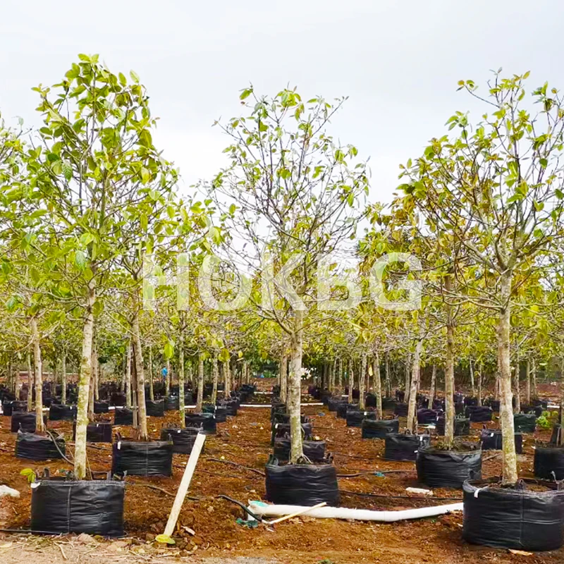 Hokbg Wholesale Eco-friendly Polypropylene Woven Planting Bag Big And ...
