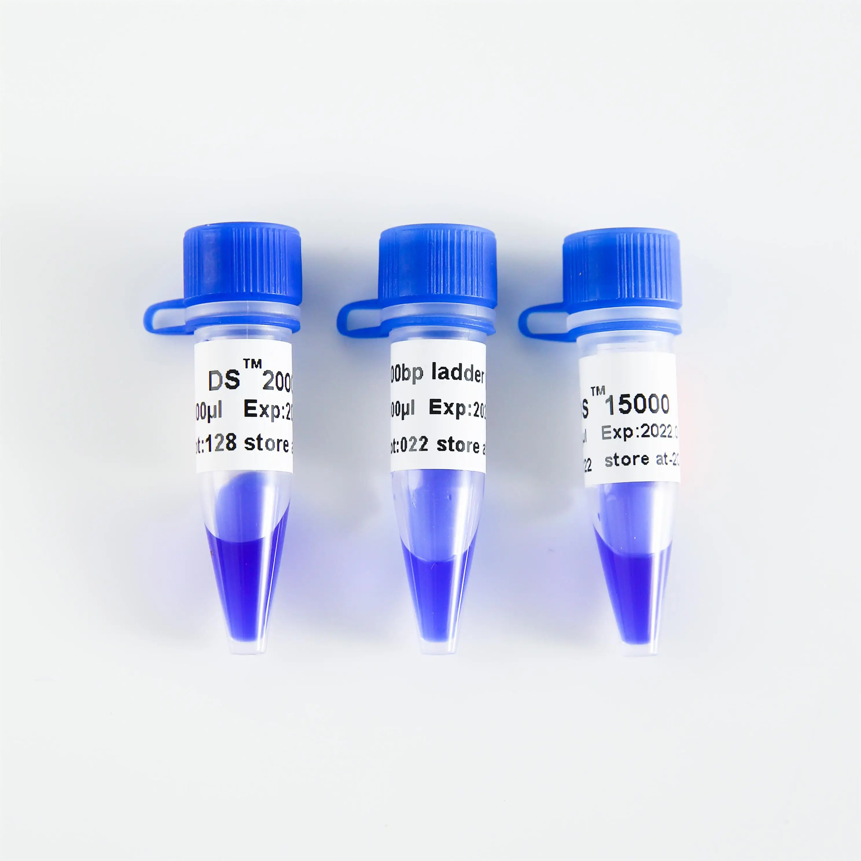 Gdsbio 1kb DNA Ladder - High Purity 1000bp DNA Marker
