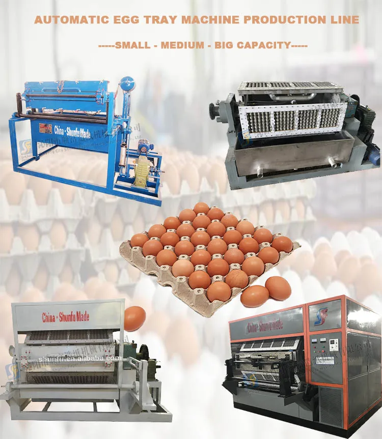 Tray Machine - Efficient Egg Tray Production Solutions
