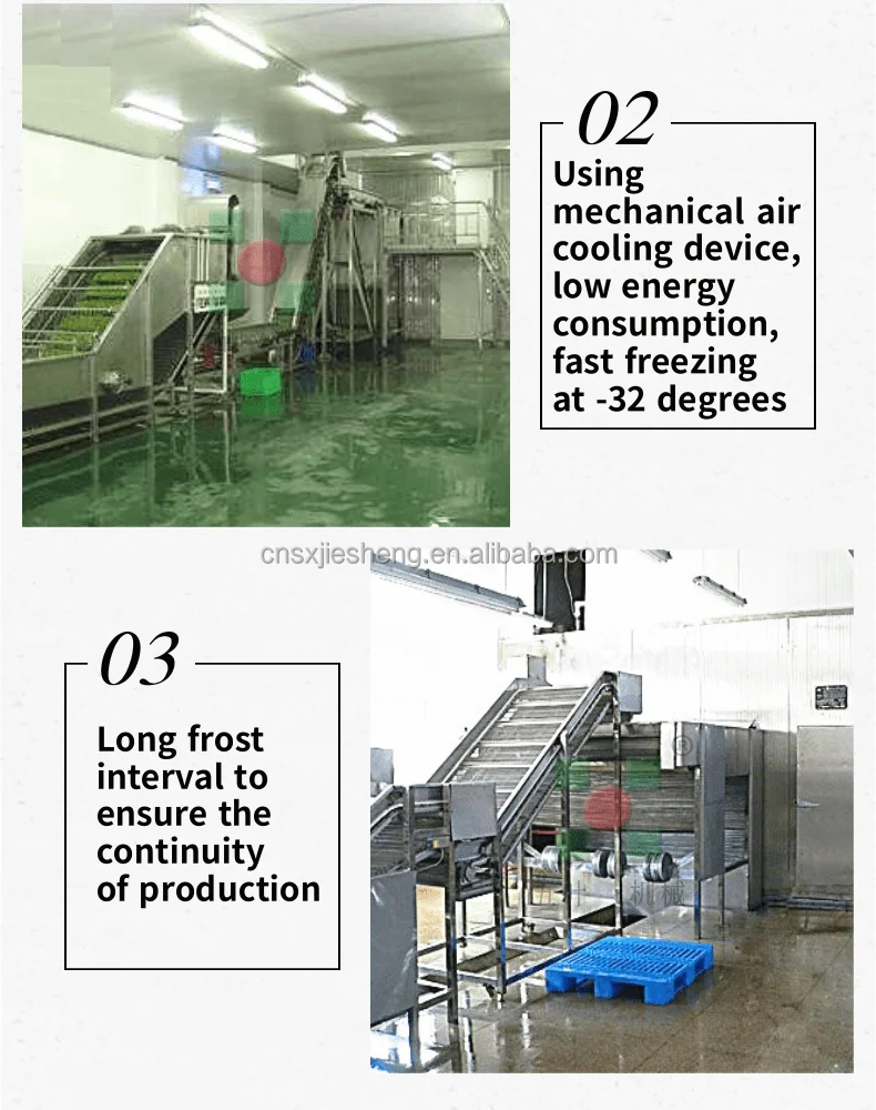 Fluidized Iqf Freezer Iqf Blast Freezer Quick Freeze Equipment ...