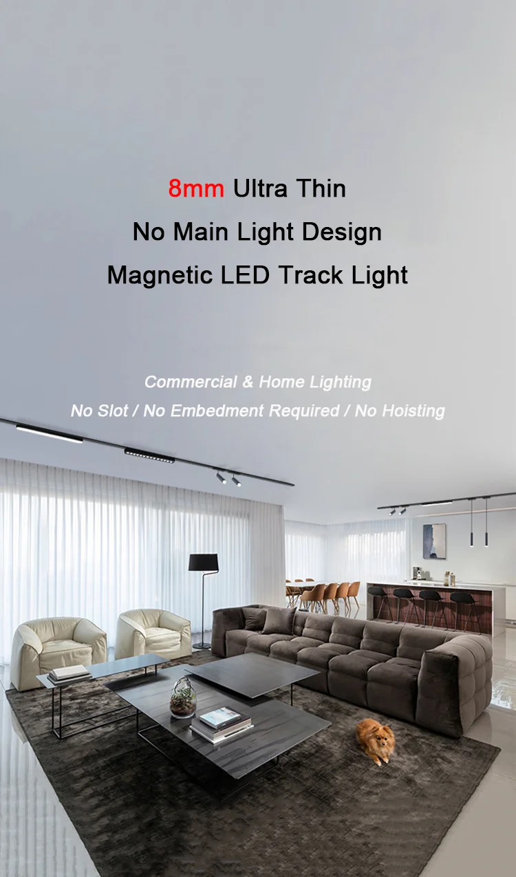 Ultra Slim Magnet Track Spotlight 48v LED Lighting System