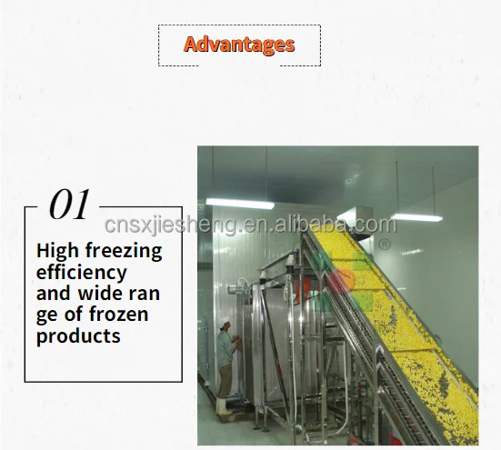 Fluidized Iqf Freezer Iqf Blast Freezer Quick Freeze Equipment ...