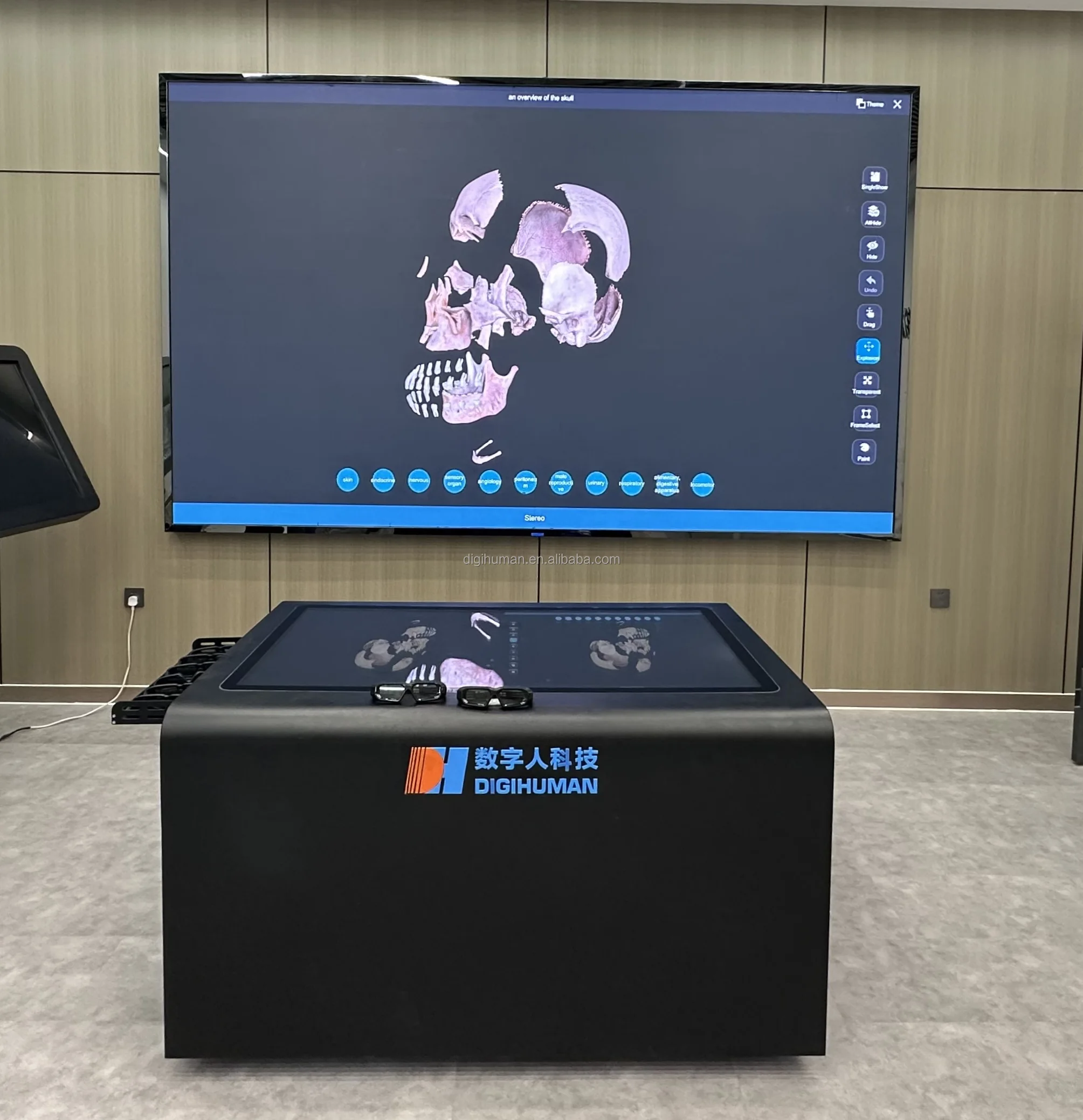 Anatomy Learning with Digital Anatomy Table - Virtual Teaching