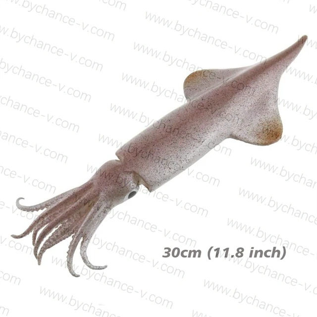 Artificial Seafood Sample Sea Creatures Toy Fake Squid Fake Fish For ...