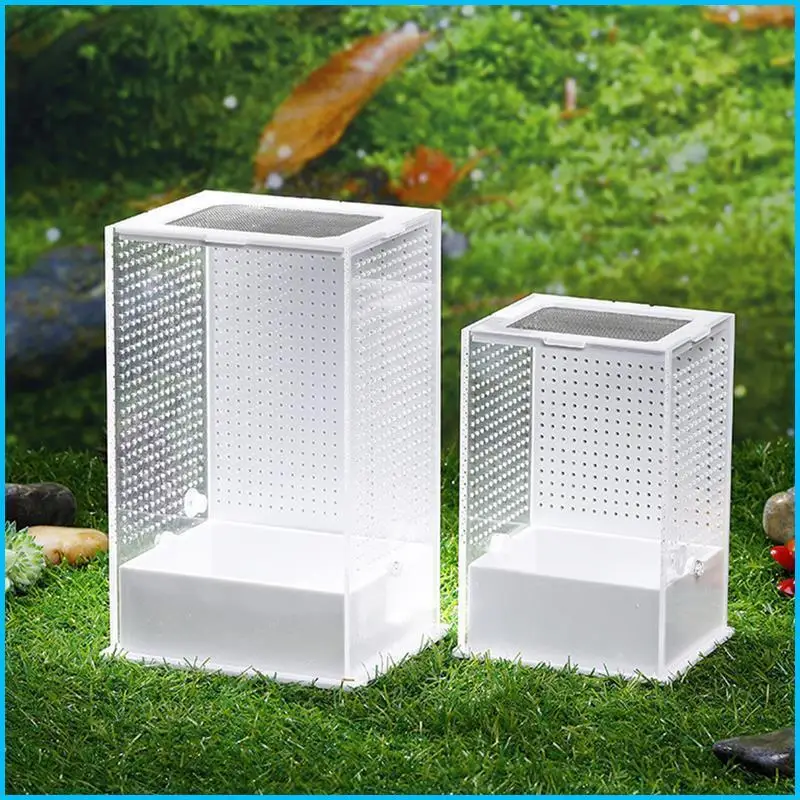 Custom Clear Acrylic Mantis Enclosure Praying Mantis Container Acrylic ...