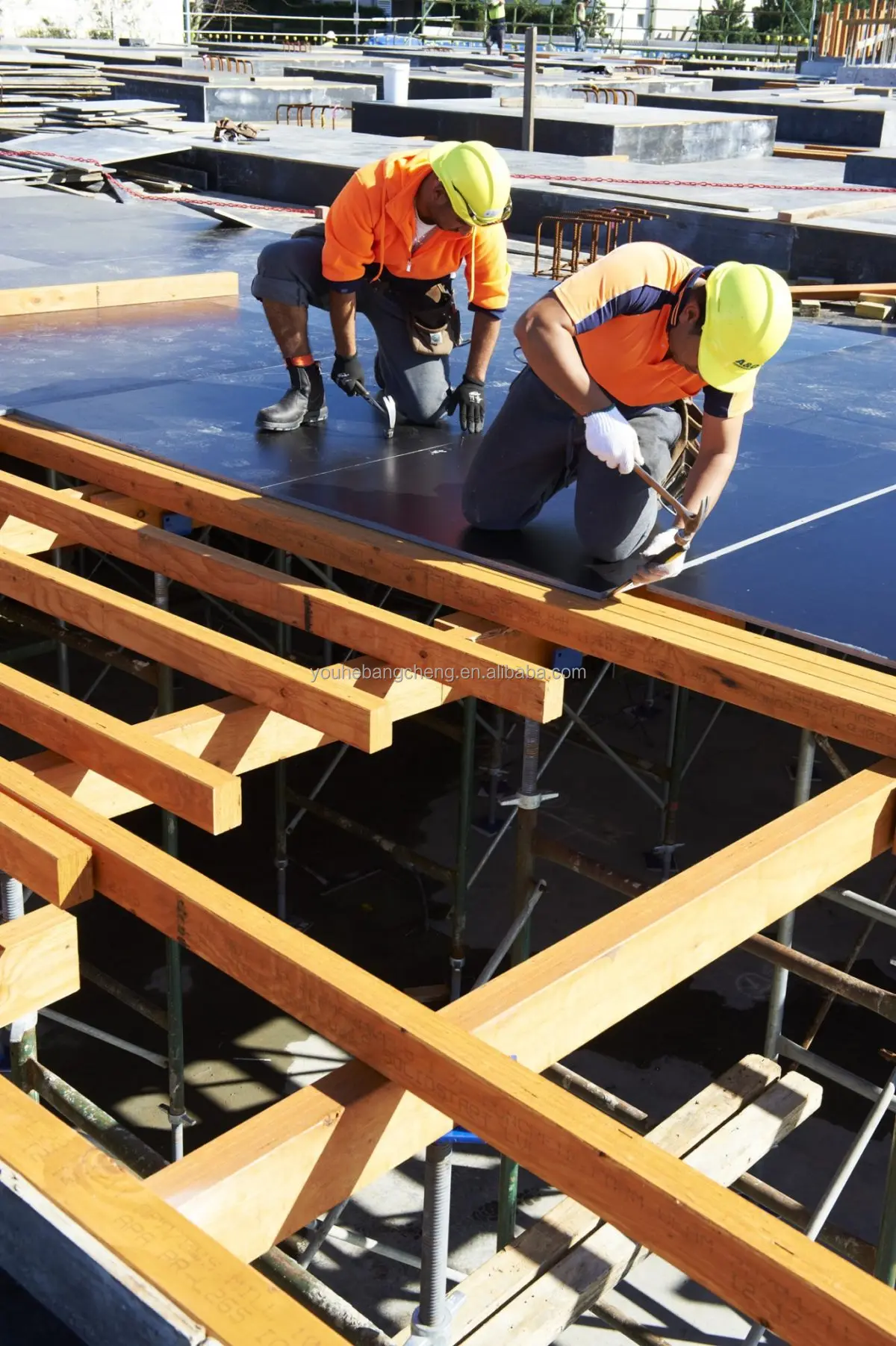 Australian Standard Formwork LVL Beam, Larch TruForm LVL Timber ...