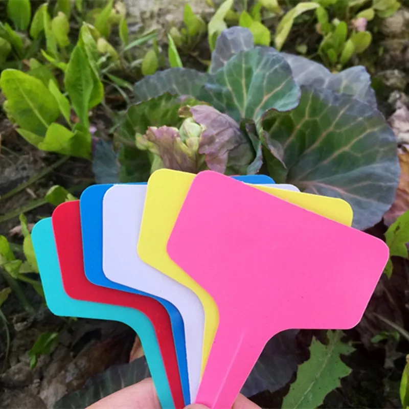 Wholesale Plastic Plant Labels Garden Markers T-Type Tags Colorful 6 ...