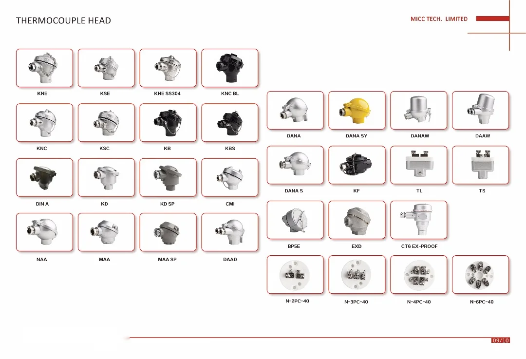 Standard Accuracy: Iec751 And Din43760 Pt100 Ceramic 2*16mm Platinum ...