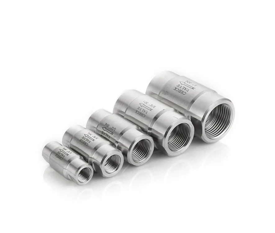 Brass Check Valves - Durable, Efficient, and Customizable