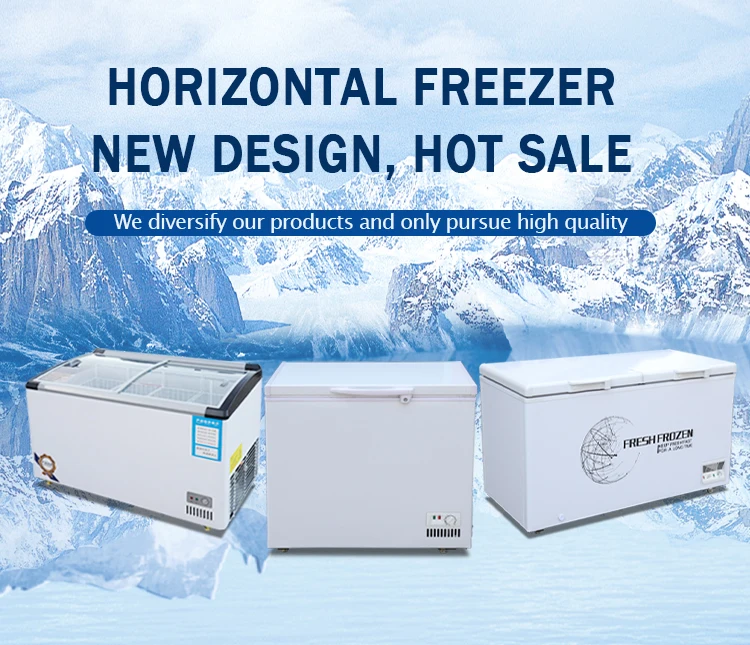 Dual Curved Glass Freezer - Perfect for Ice Cream Display