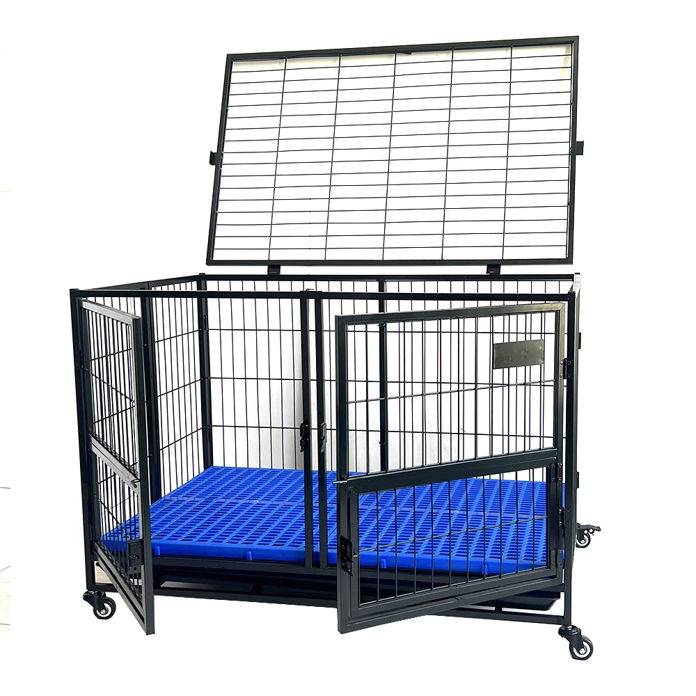 Dog crates and kennels store