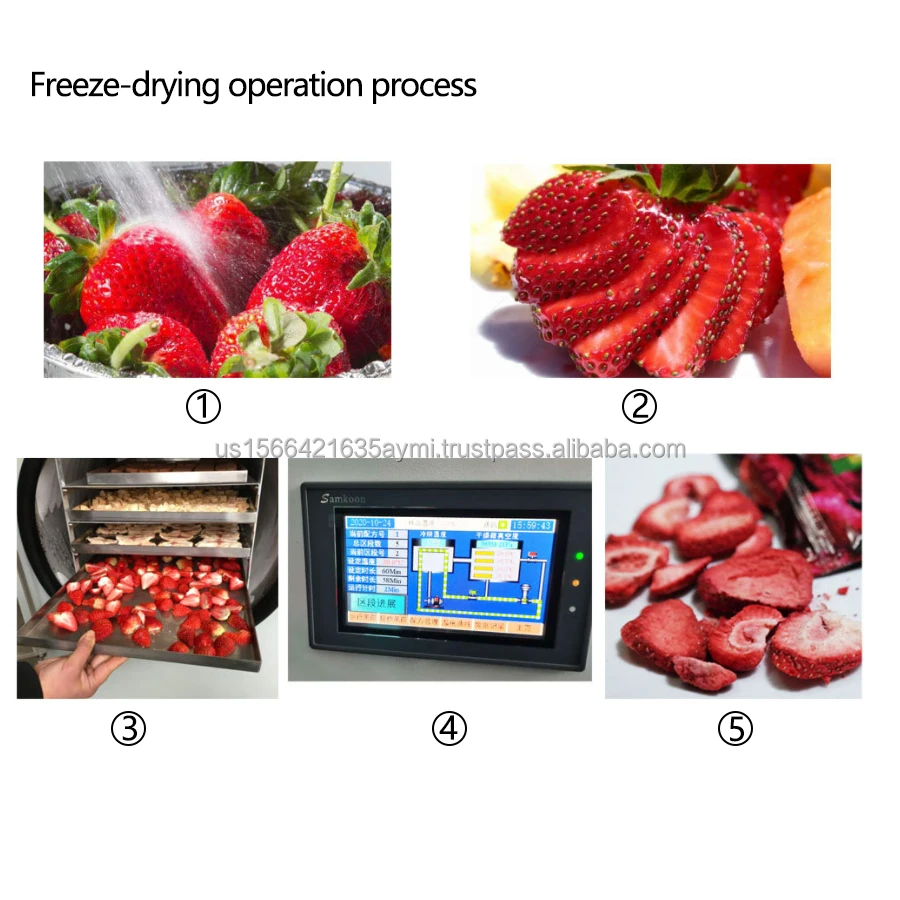 Small Size Freeze Dryer Freeze Dried Mango Machine Freeze Dryer 10 Kg ...