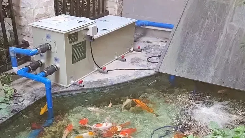 Qihangras Ycm-b1c 1320 Gallon Garden Pond Filter 5m3/h 110v 220v Koi ...