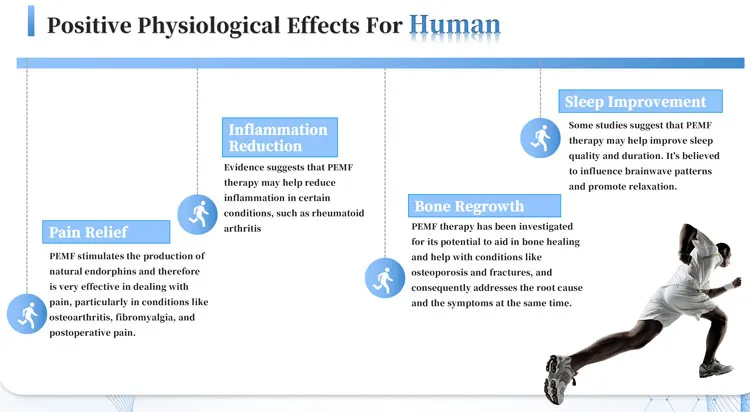 2 in 1 PEMF LOOP Human and Horses PMST LOOP PRO MAX Equine ...