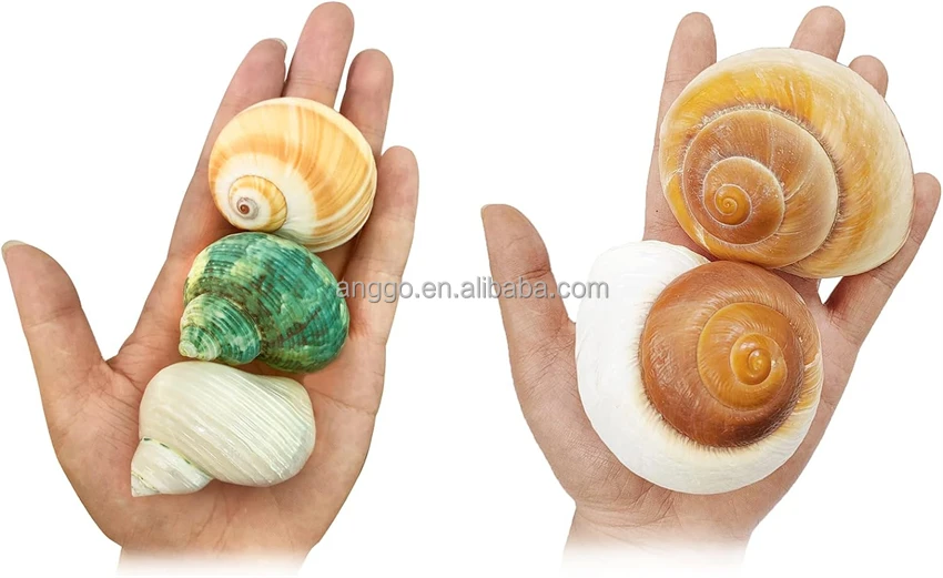 Fish Tank Decorative Materials Natural Aquarium Microlandscape Hermit ...