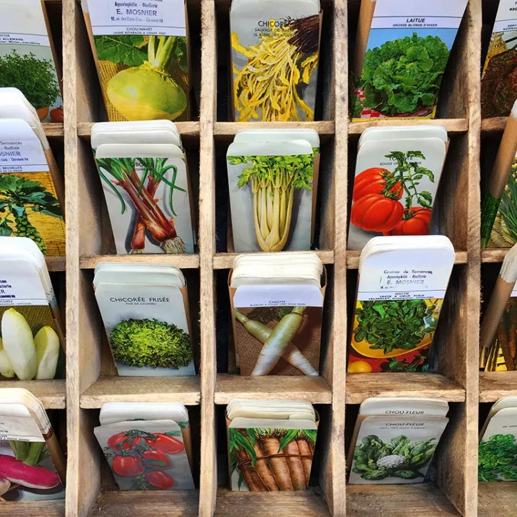 Factory Open Top Self Sealing Agraculture Seed Mini Bag Recylcle ...