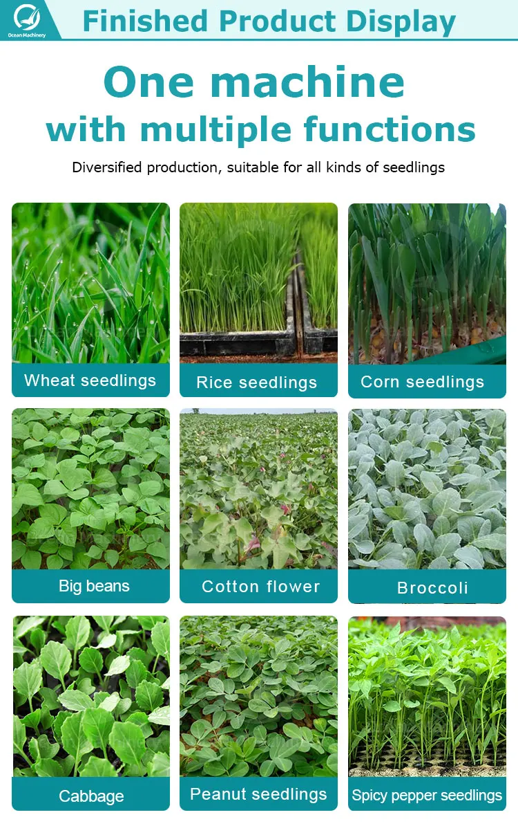 OCEAN Commercial Automatic Mung Bean Sprout Box Maker Hydroponic ...