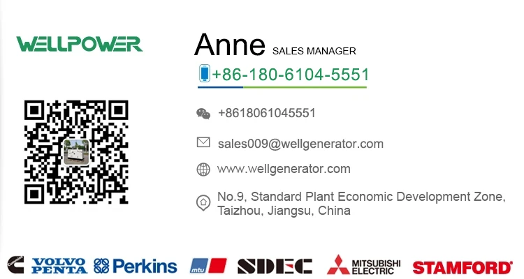 20kva Diesel Generator Set with YSD490D Yangdong Engine