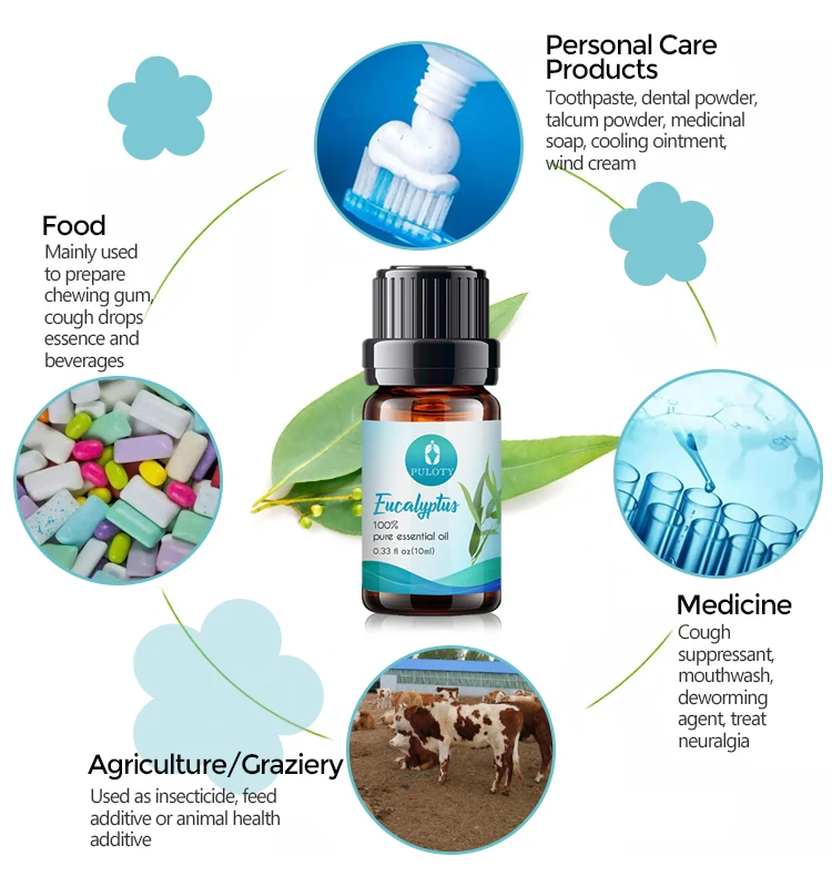 1KG Eucalyptus Oil - Natural Essential Oil for Multiple Uses